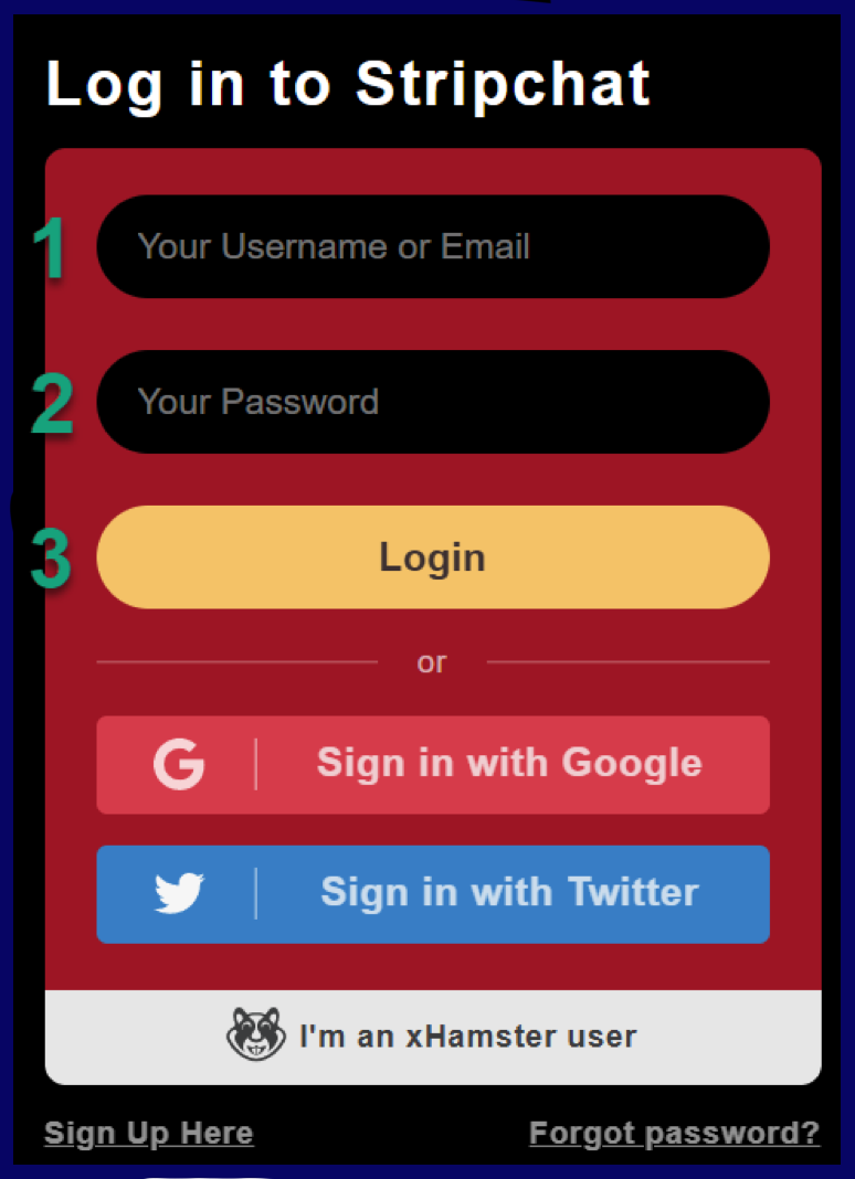StripChat - Iniciar sesión en cuenta