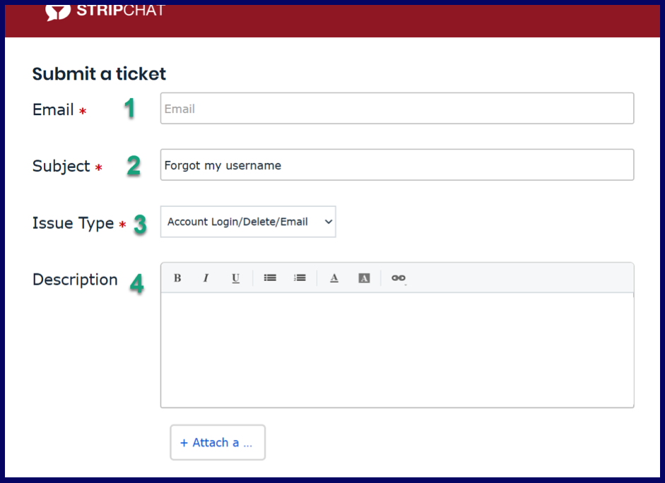 StripChat - Entrar na conta