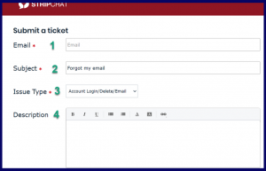 StripChat - Connexion au compte